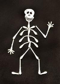 Cotton Bud Skeleton Cotton Bud Skeleton